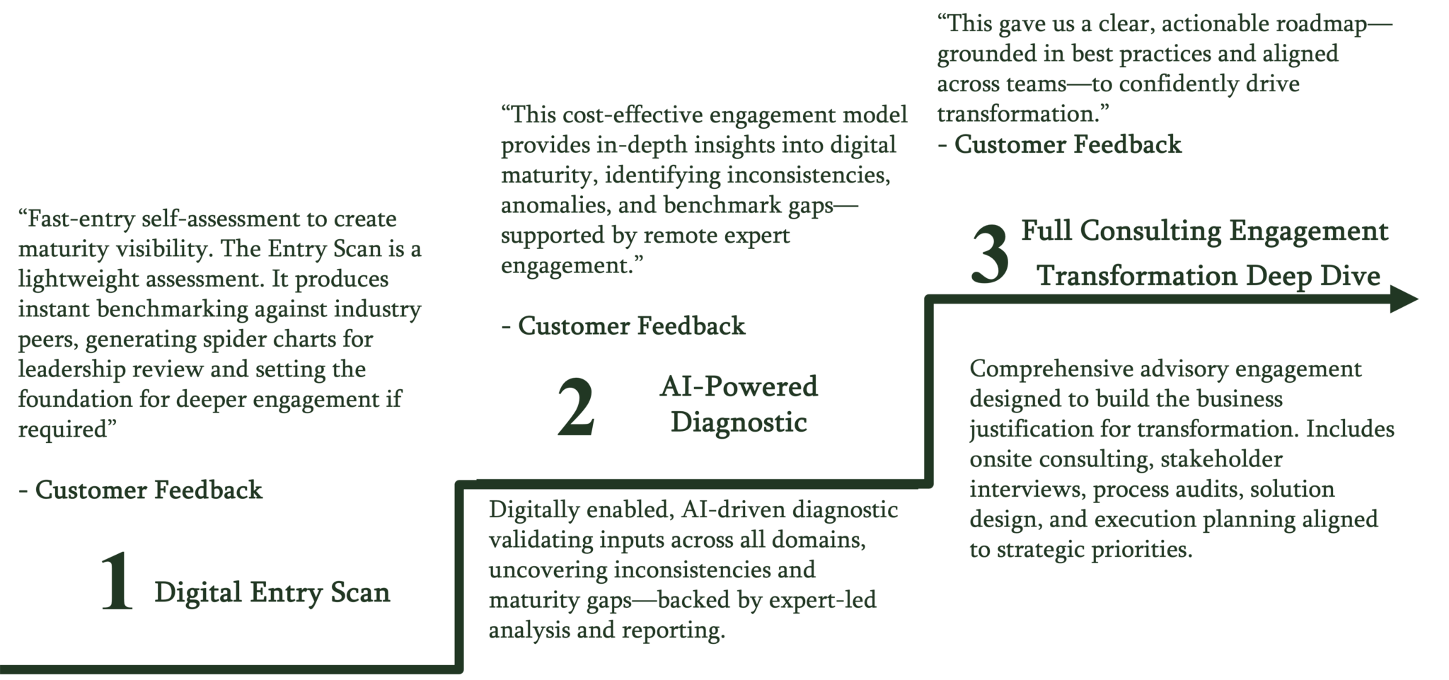 Digital Transformation Maturity Assessments – Garnet & Jade